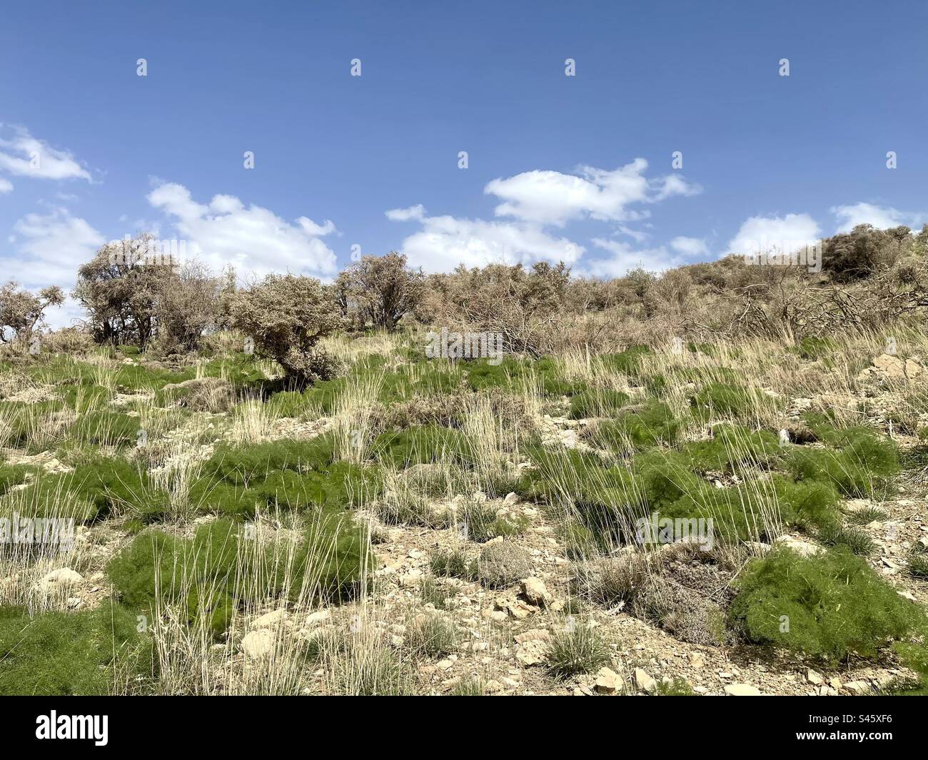 Green hill blue sky clouds hi-res stock photography and images - Alamy