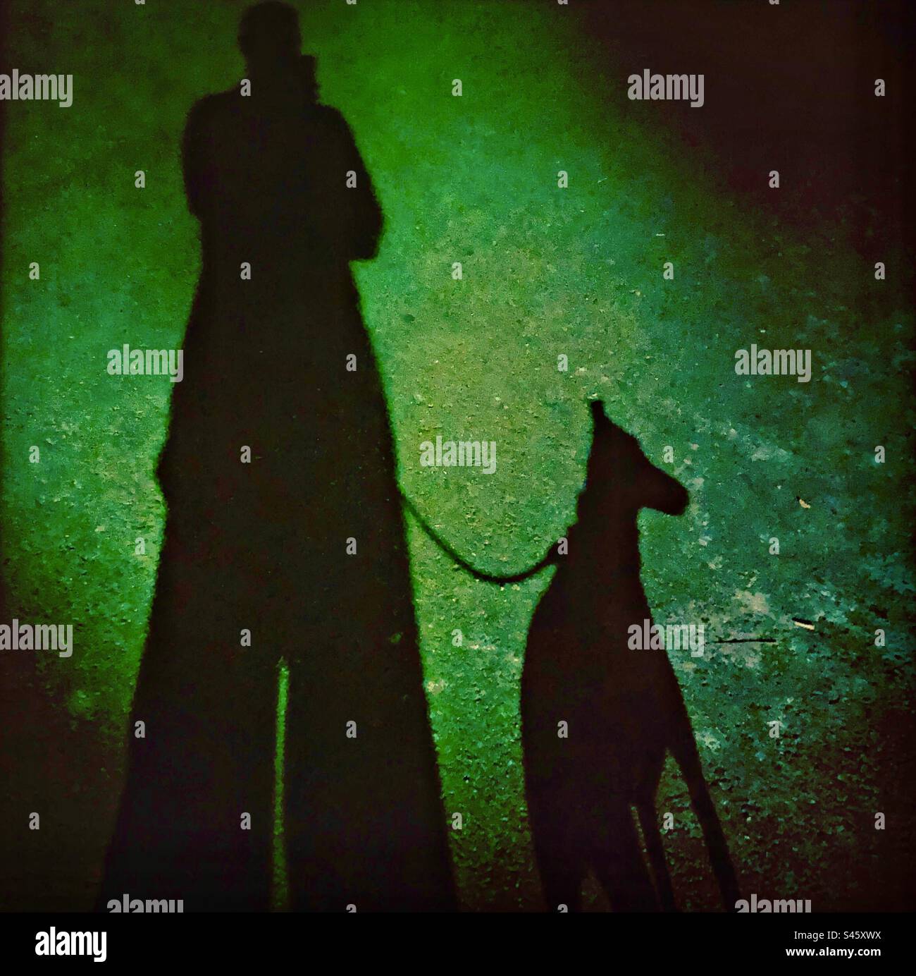 Greyhound dog silhouette hi-res stock photography and images - Alamy