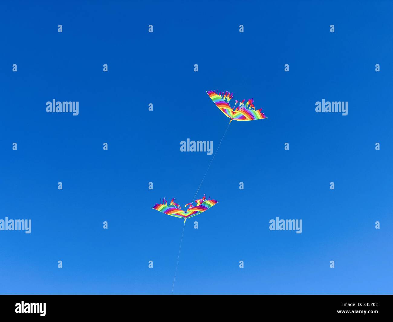 No flying of kites hi-res stock photography and images - Alamy