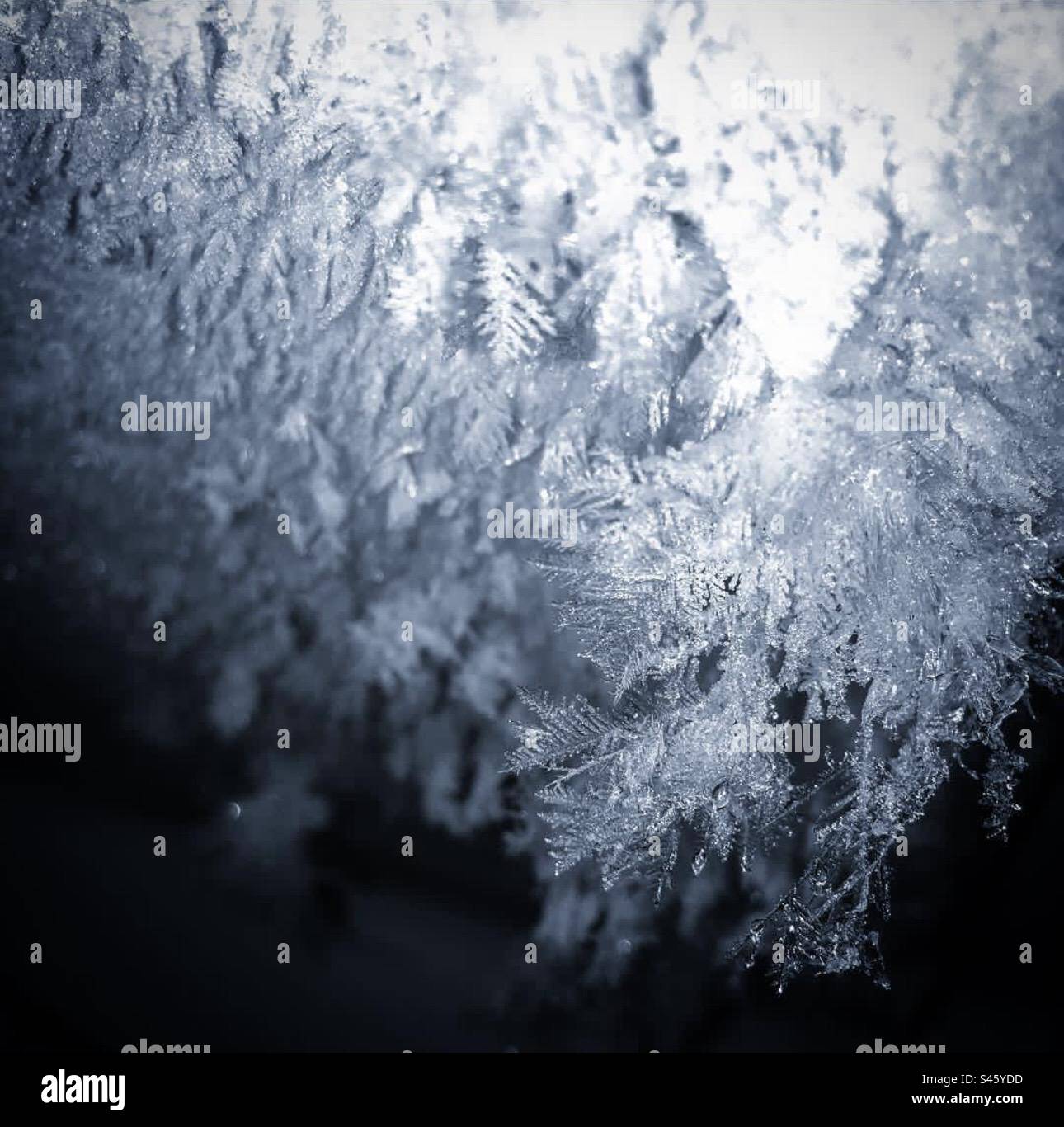 Watch it melt hi-res stock photography and images - Alamy