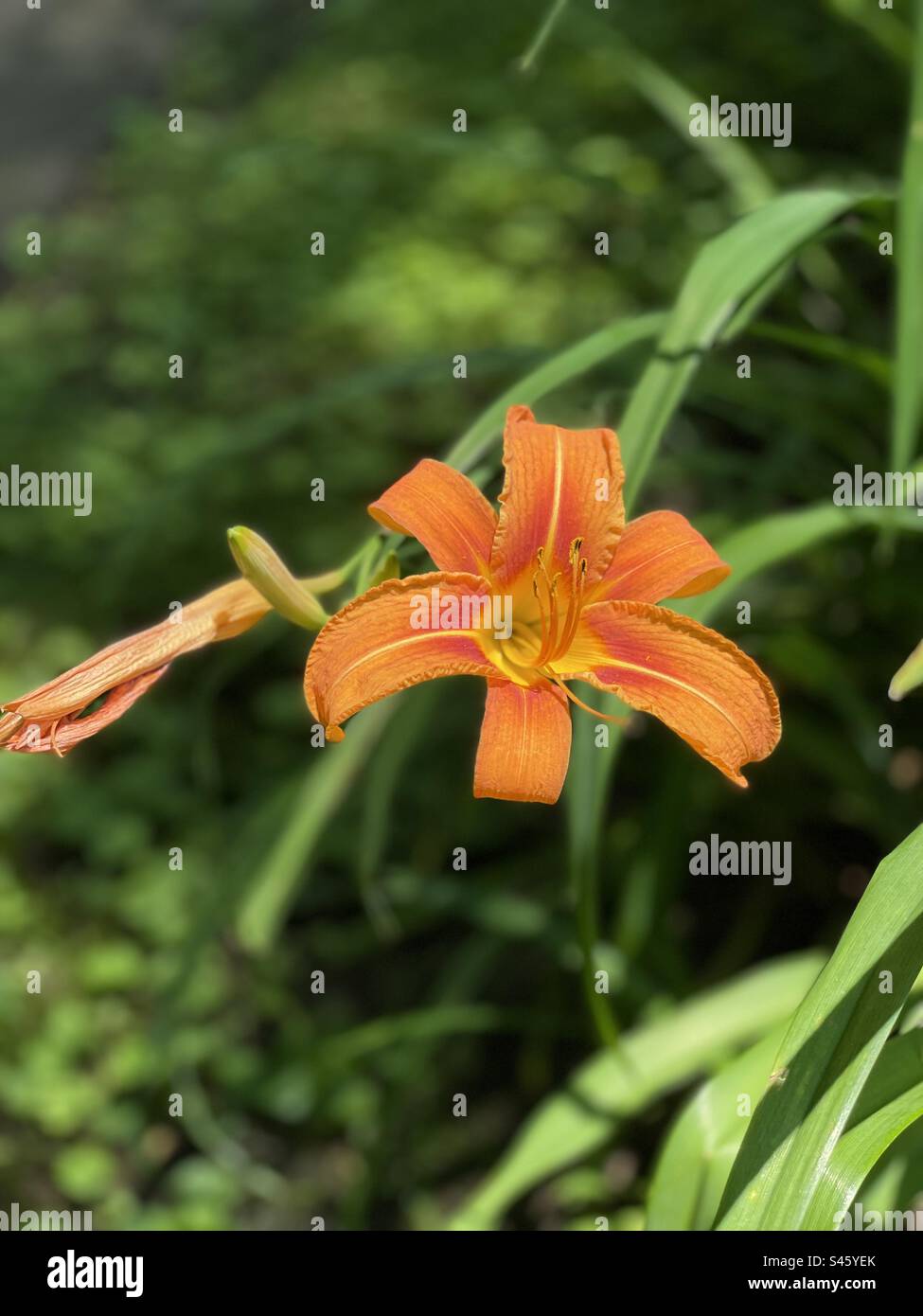 Pennsylvania roadsides hi-res stock photography and images - Alamy