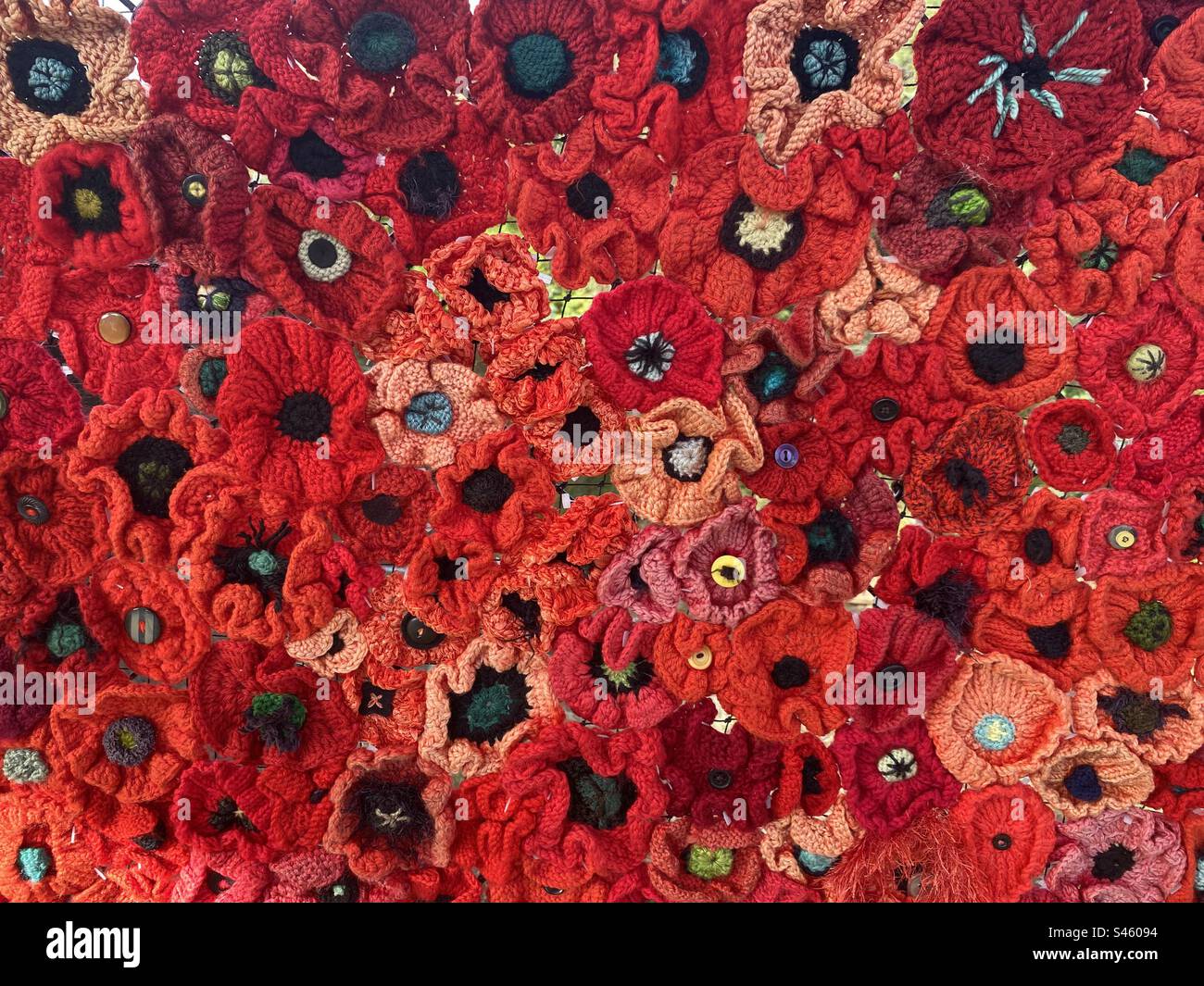 Anzac poppies hi-res stock photography and images - Alamy