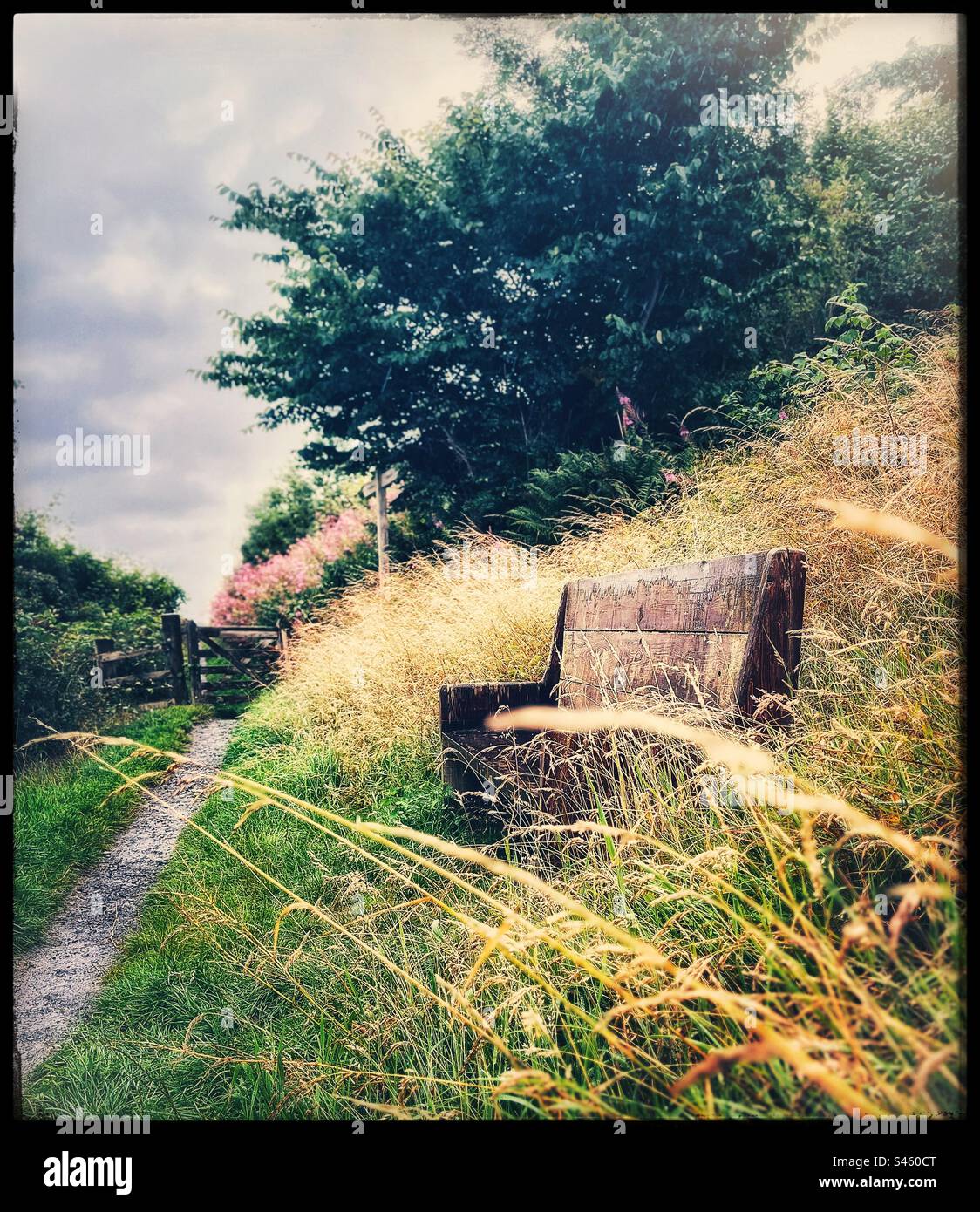 Long grass and bench hi-res stock photography and images - Alamy