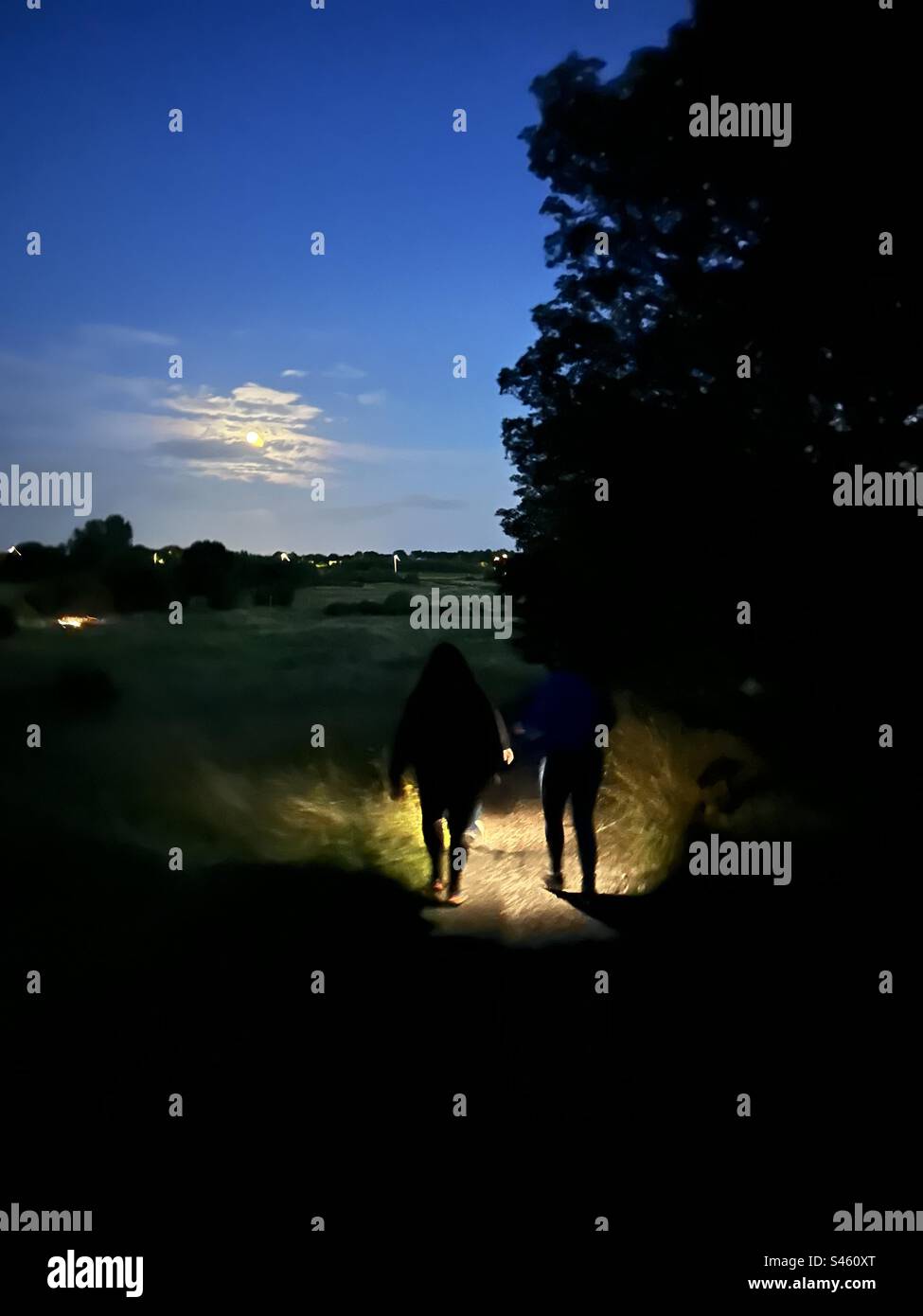 Torch trees hi-res stock photography and images - Alamy