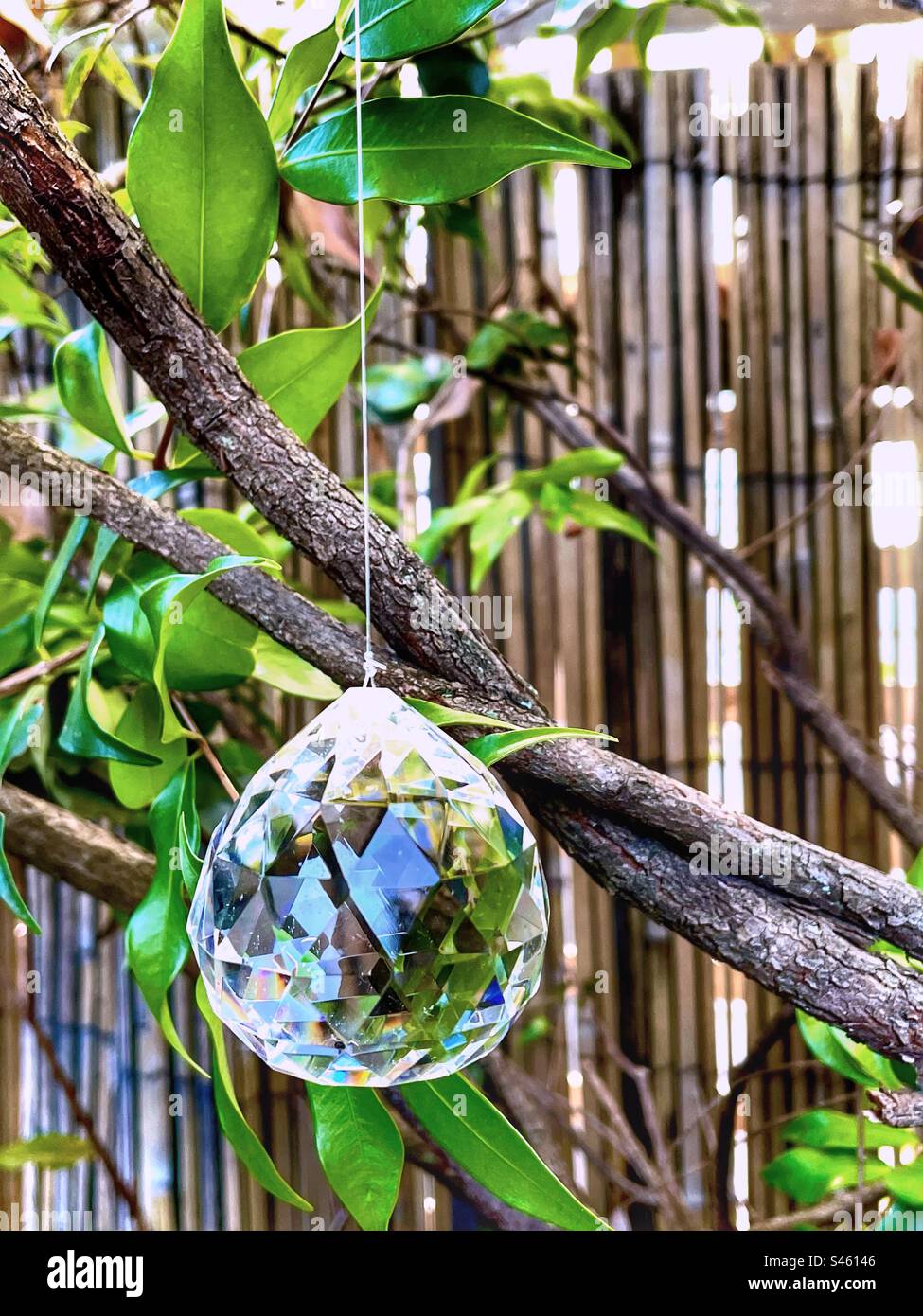 Crystal and plant hi-res stock photography and images - Alamy