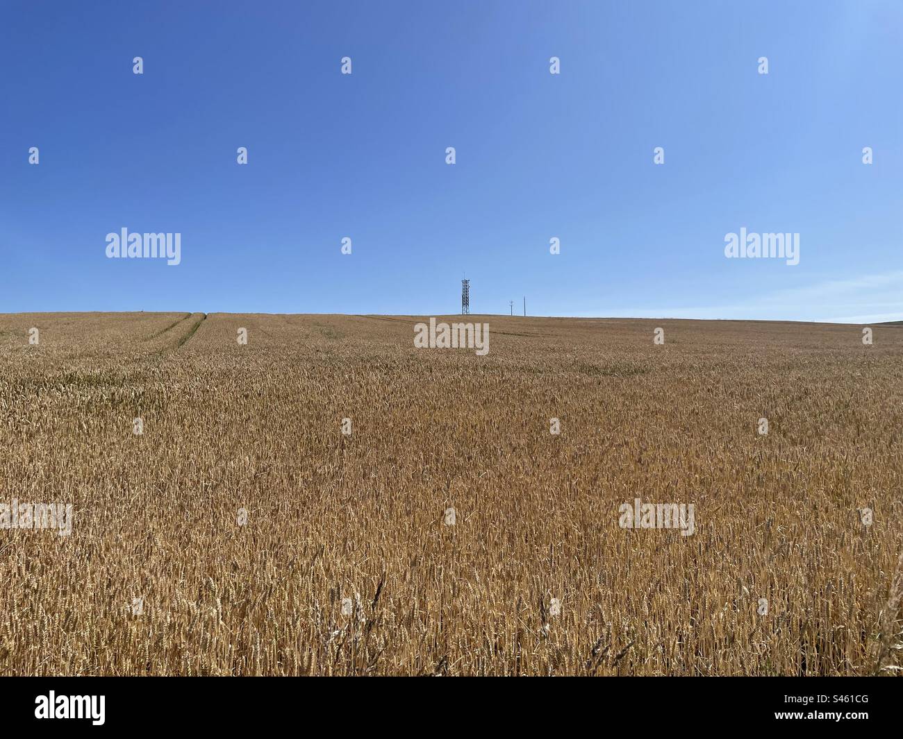 Field tower hi-res stock photography and images - Alamy