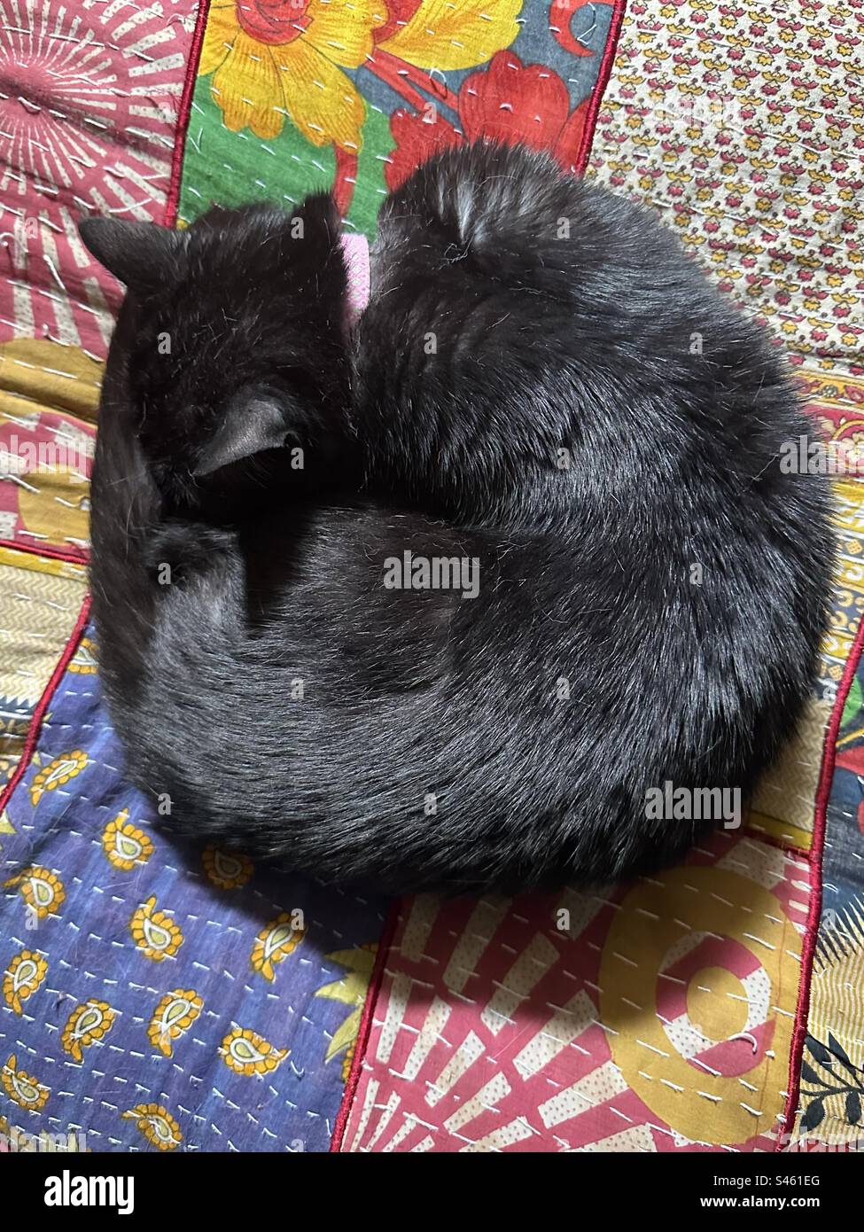 On black quilt hi-res stock photography and images - Alamy