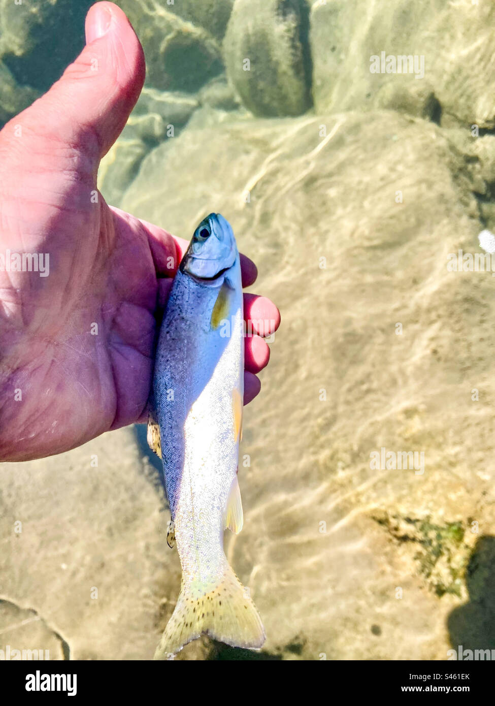 Elk river british columbia hi-res stock photography and images - Alamy