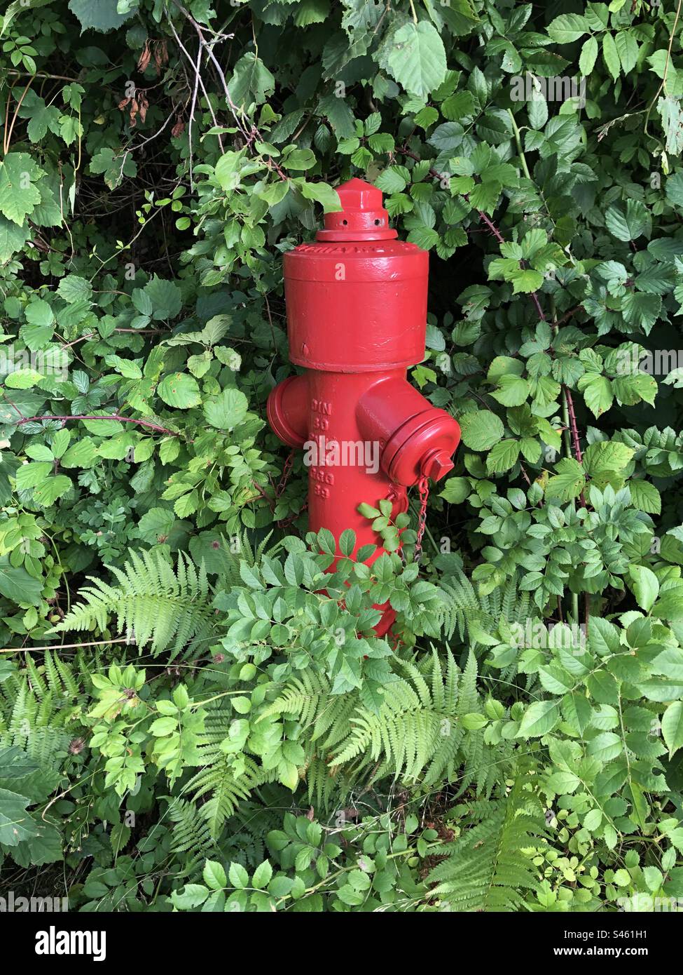 Green environent hi-res stock photography and images - Alamy