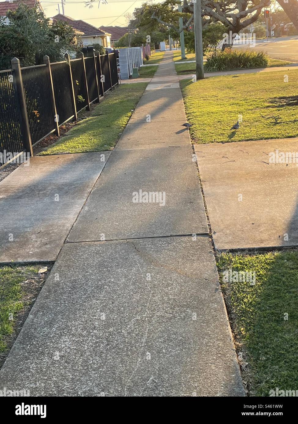 Afternoon light in hi-res stock photography and images - Alamy