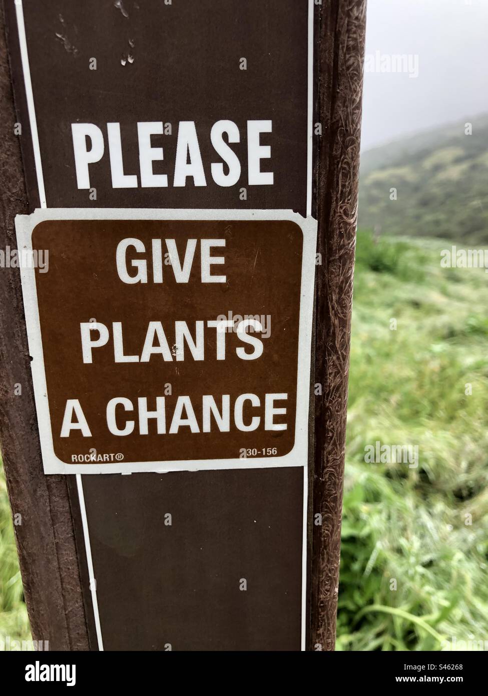 Please do not touch plants hi-res stock photography and images - Alamy