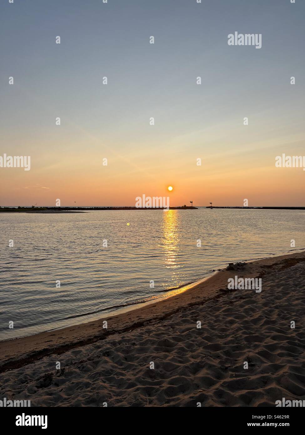 New buffalo hi-res stock photography and images - Alamy