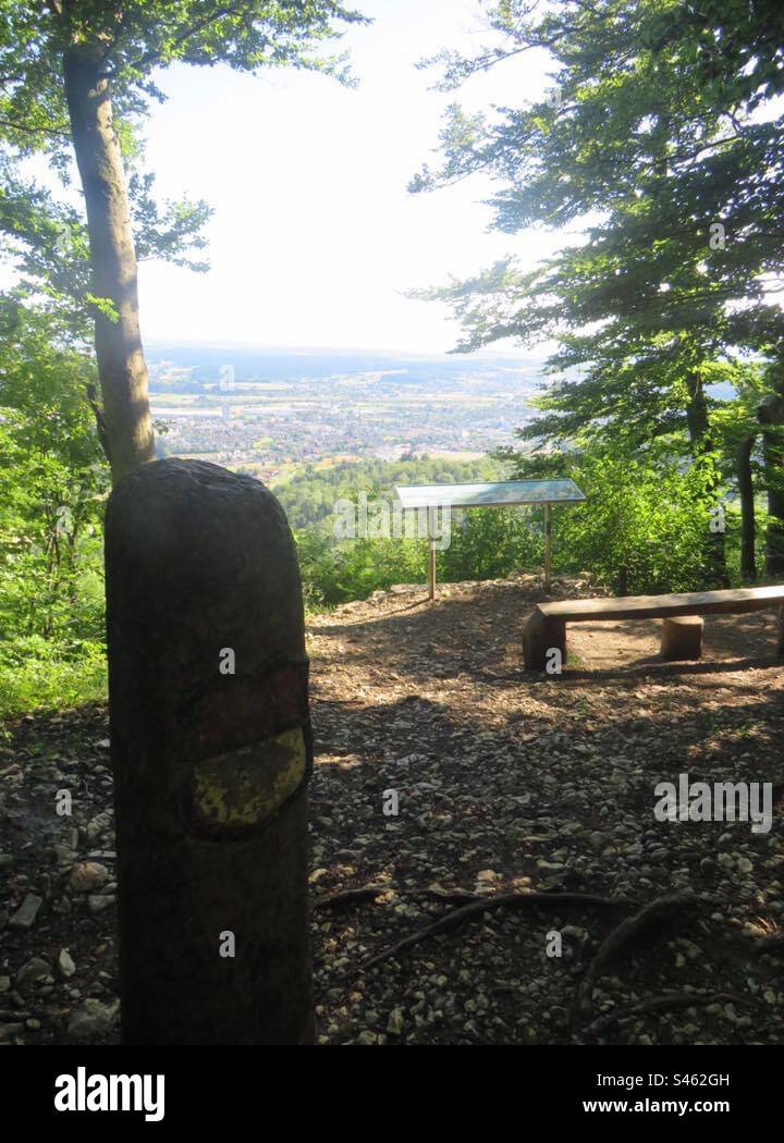View point in woods! hi-res stock photography and images - Alamy