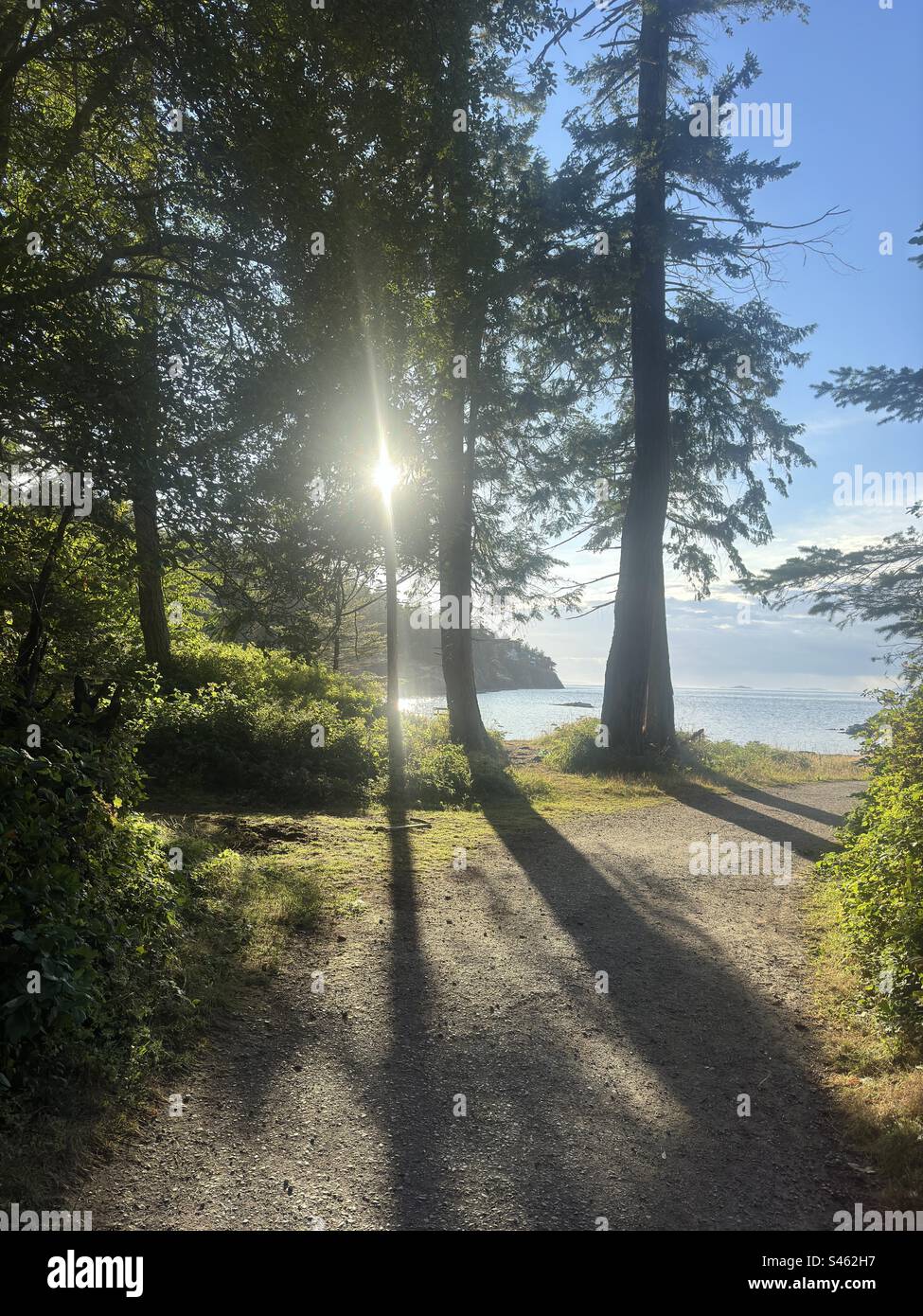 Neck point hi-res stock photography and images - Alamy