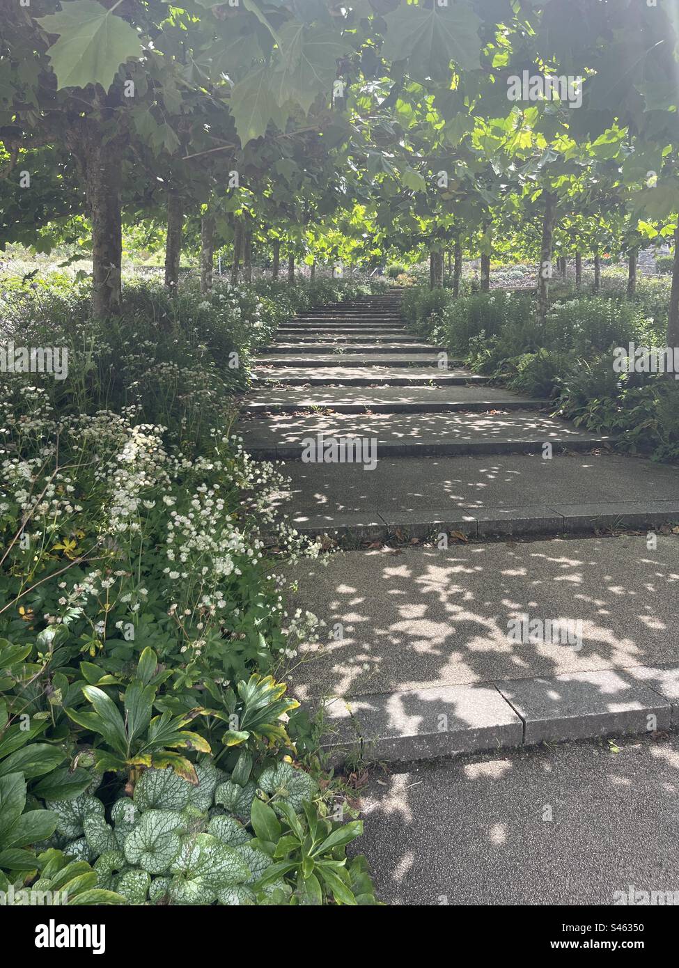 Lined steps hi-res stock photography and images - Alamy