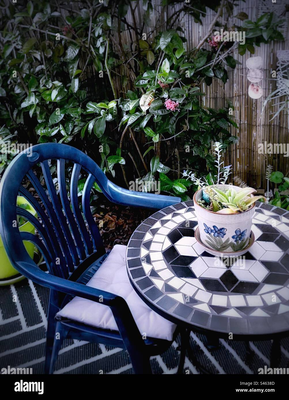 Pot plant courtyard hi-res stock photography and images - Alamy
