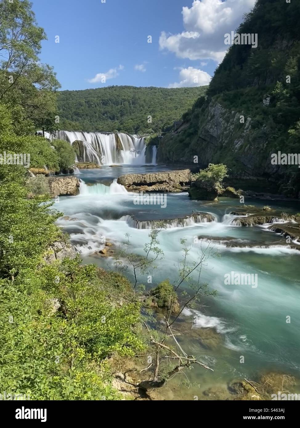 Strbacki buk hi-res stock photography and images - Alamy