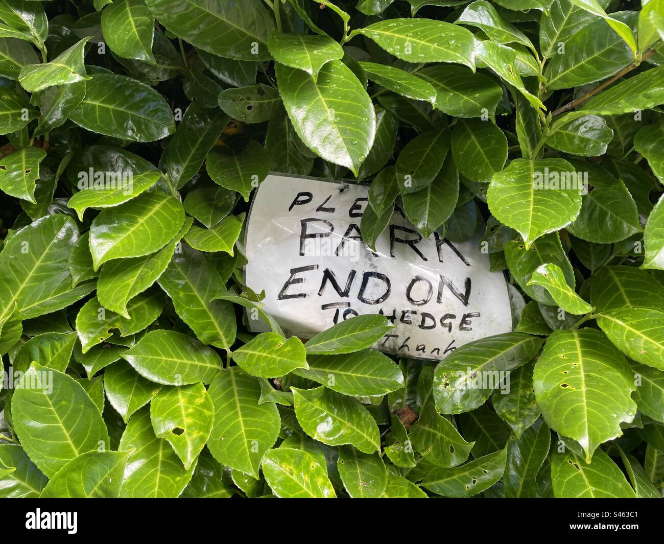 Please park end on to hedge sign hi-res stock photography and images ...