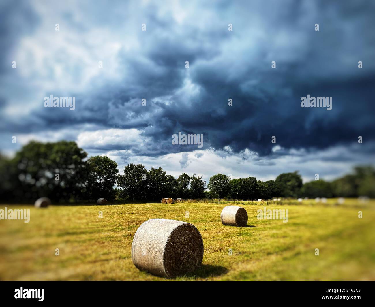 Round hay bales Stock Photo - Alamy