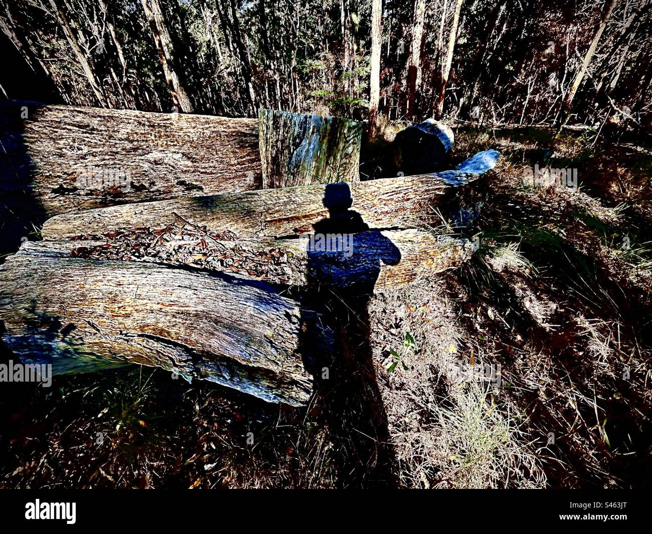 Me and my shadow Stock Photo - Alamy