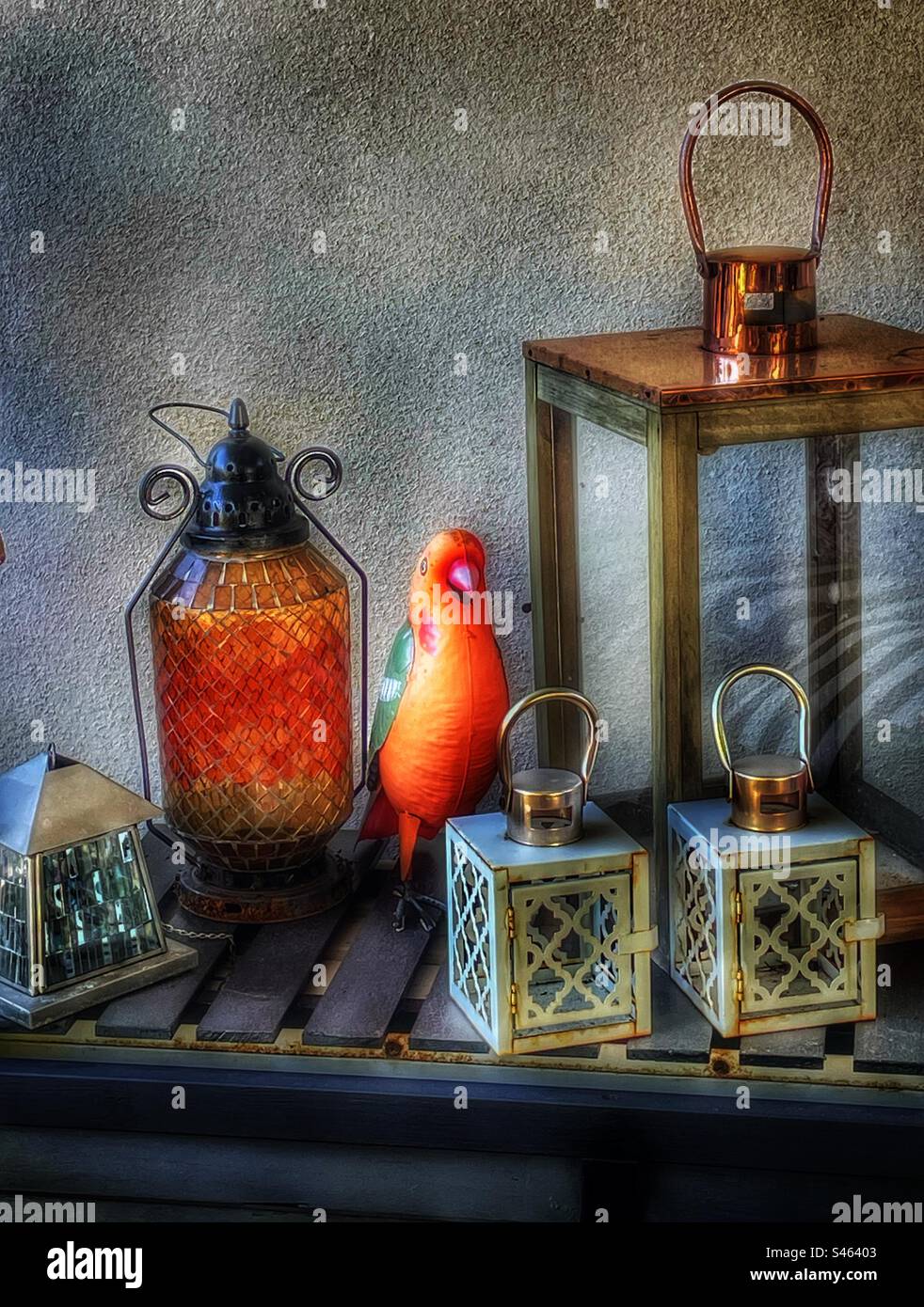 Tin parrot hi-res stock photography and images - Alamy