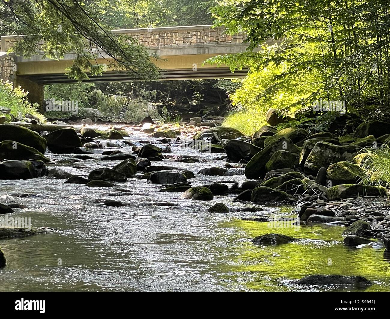 Ansonia hi-res stock photography and images - Alamy