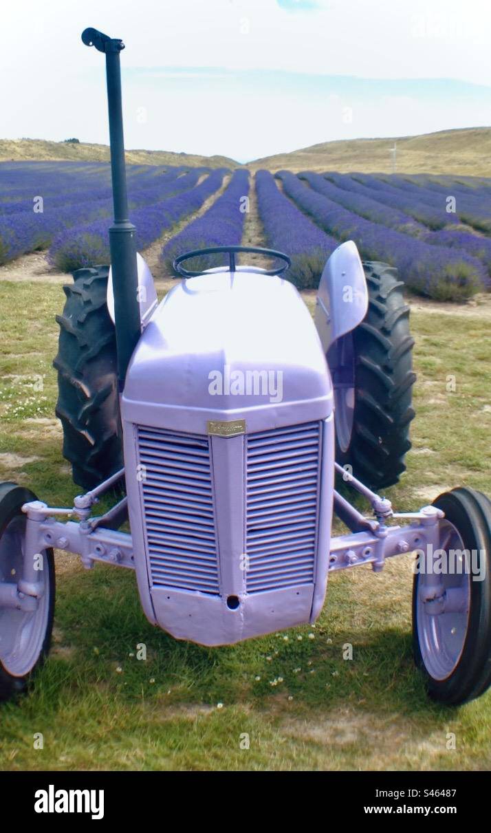 Lavender hills hi-res stock photography and images - Alamy