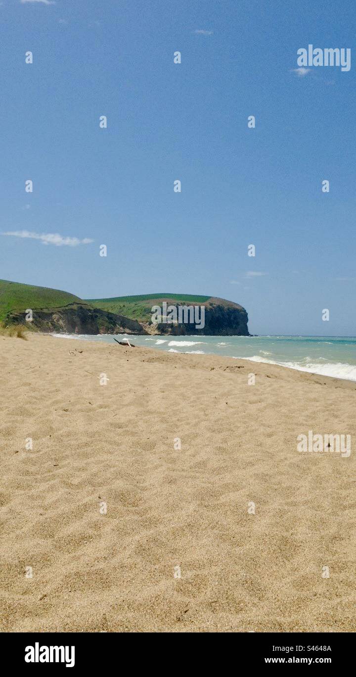 Golden sand beach during summer in New Zealand Stock Photo - Alamy