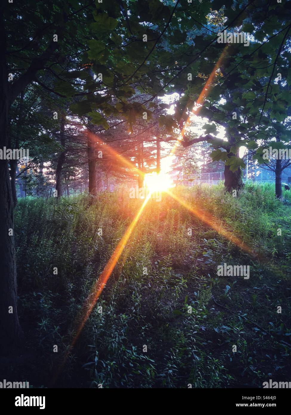 Orange sun rays Stock Photo - Alamy