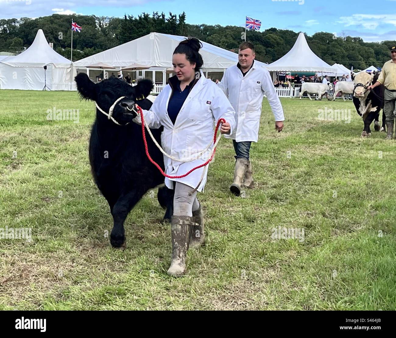 Grand parade at south glos show 2023 Stock Photo - Alamy