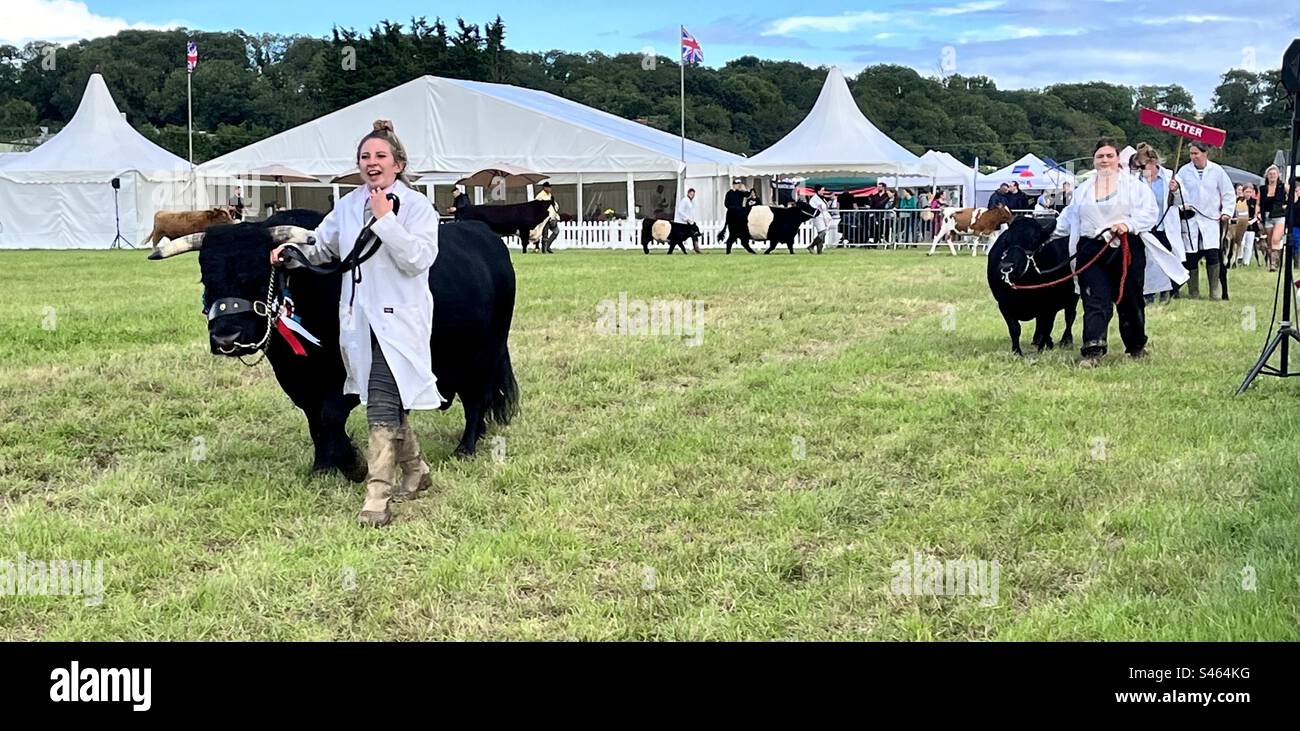 Grand parade at south glos show 2023 Stock Photo - Alamy