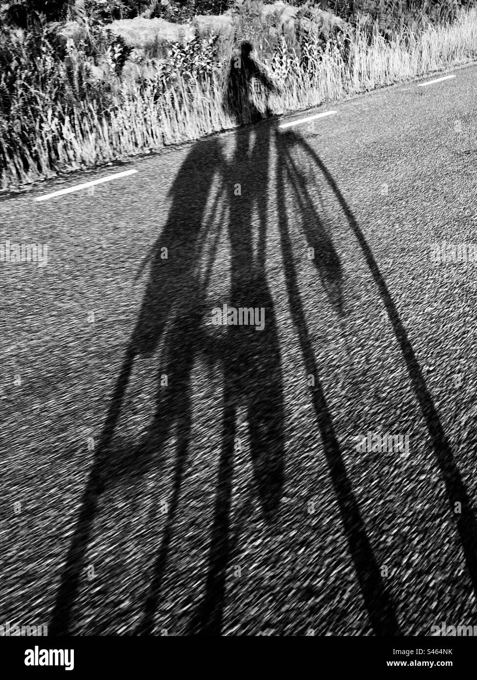 The shadow of a cyclist Stock Photo - Alamy