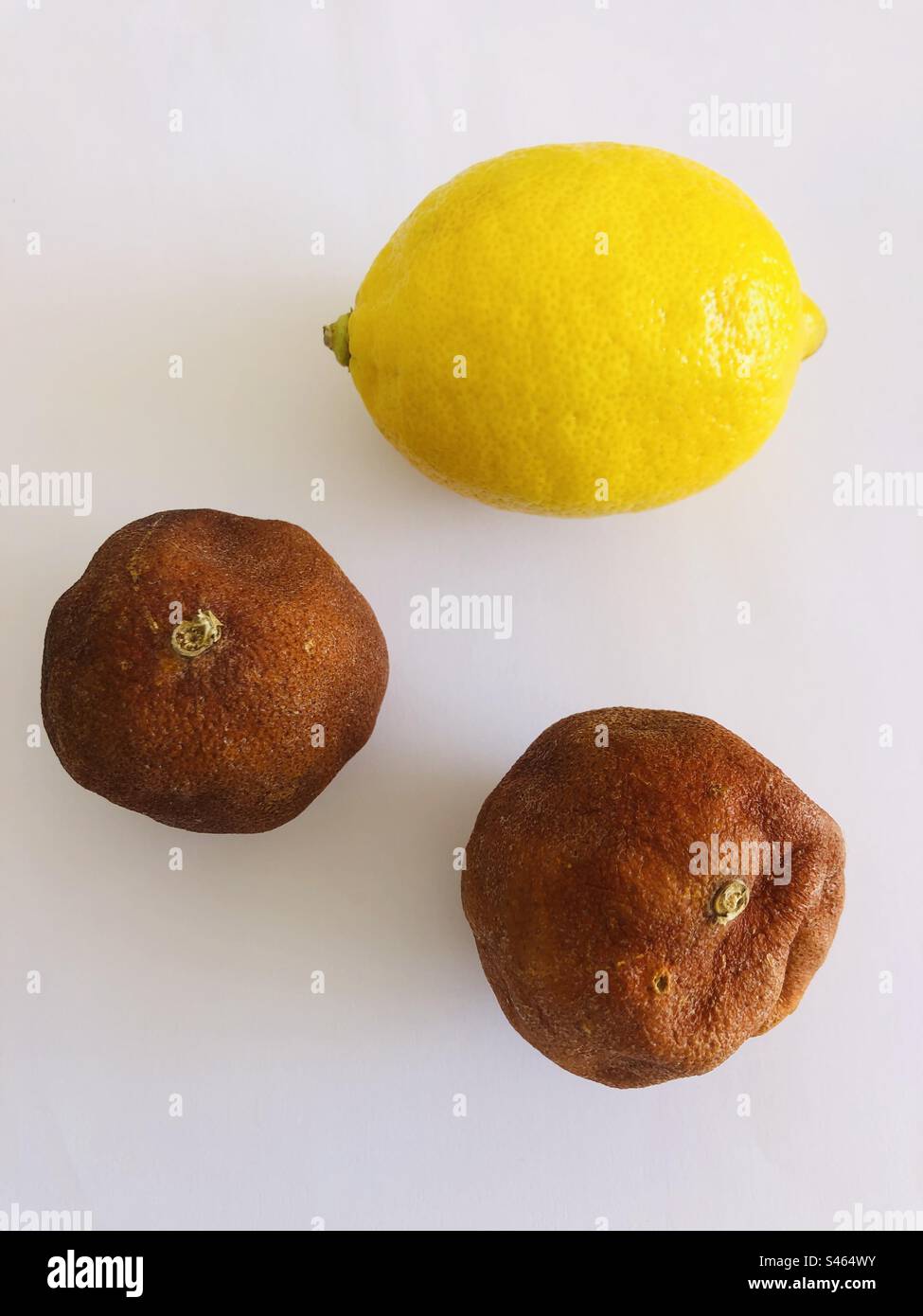 Dried and fresh lemons Stock Photo - Alamy