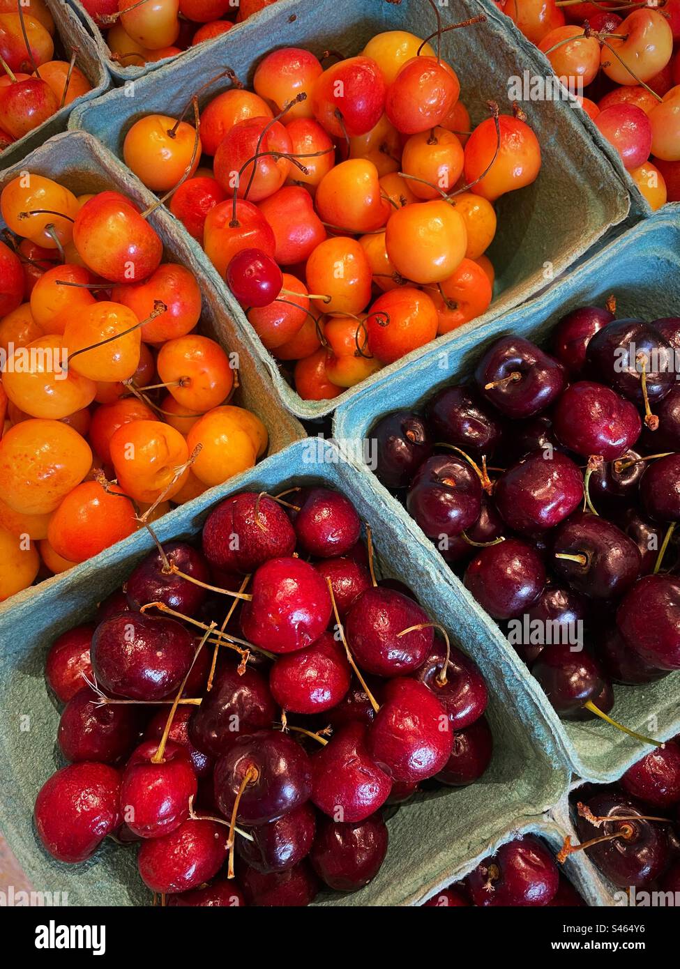 Small cartons of pink and red cherries for sale at the produce. Stand ...