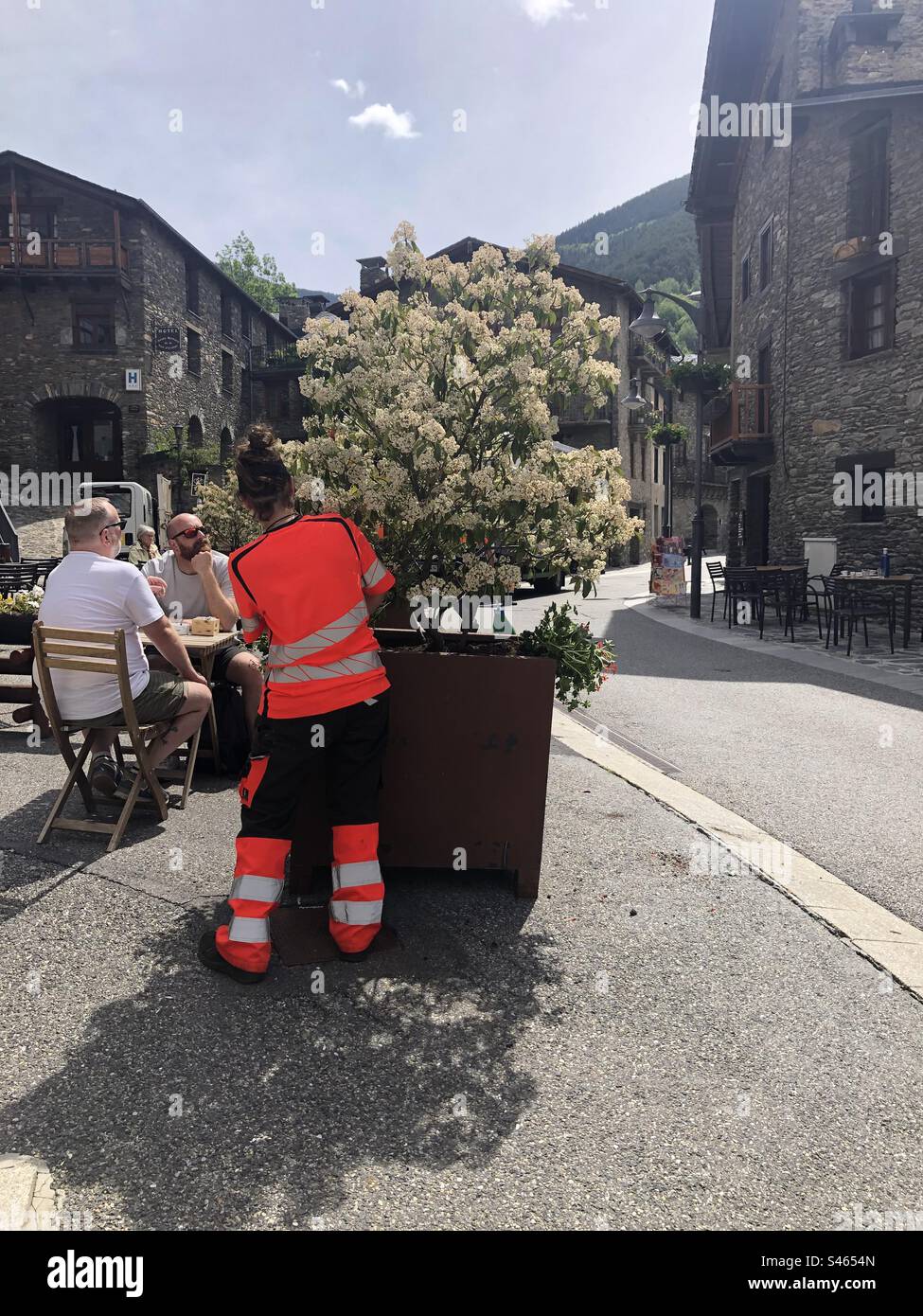 Council worker tending to plants outside cafe Stock Photo - Alamy