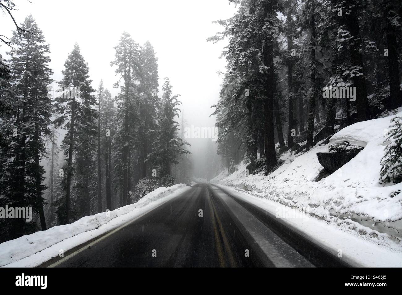 Sequoia national park snow hi-res stock photography and images - Alamy