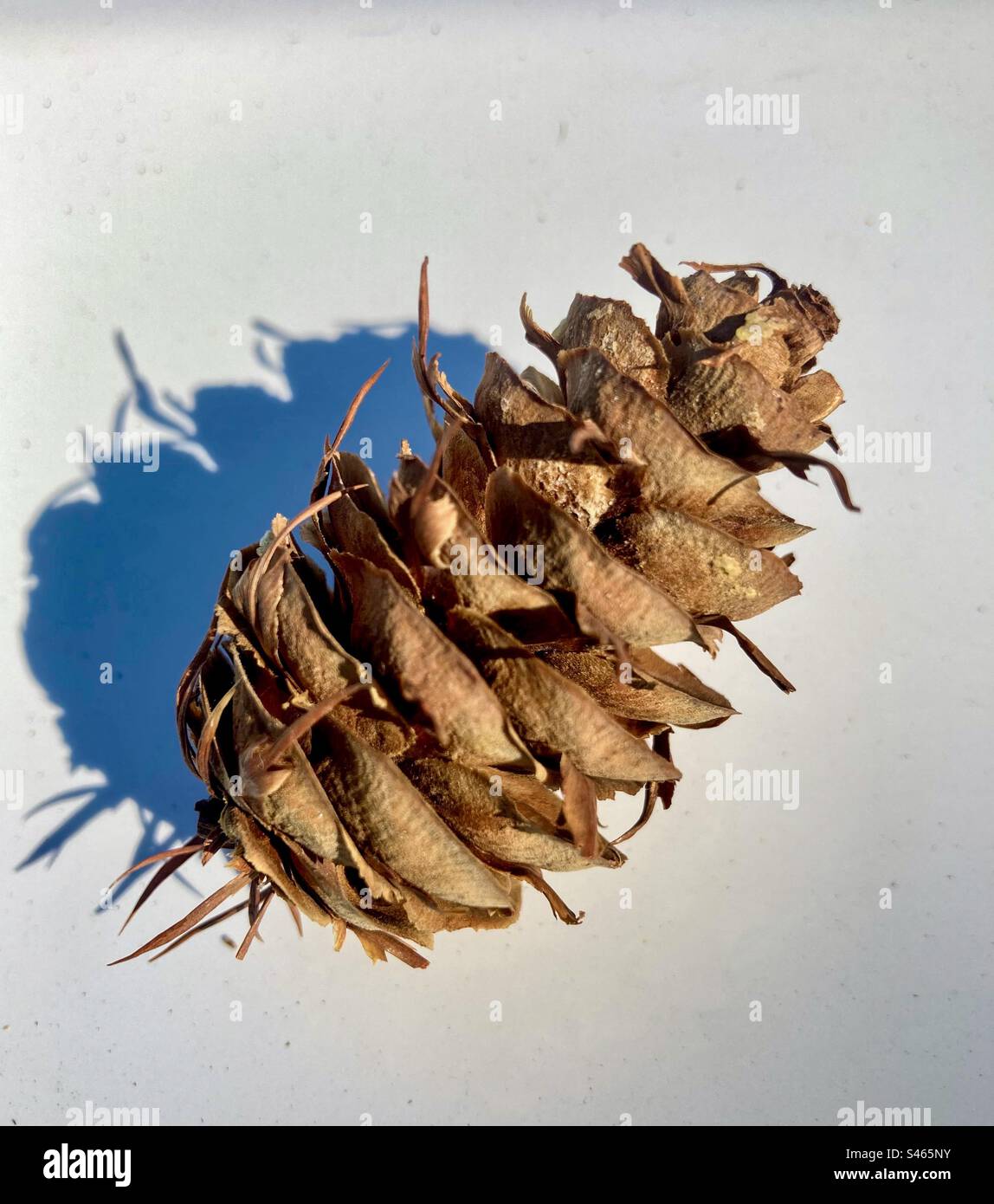 Rocky cone mountain hi-res stock photography and images - Alamy