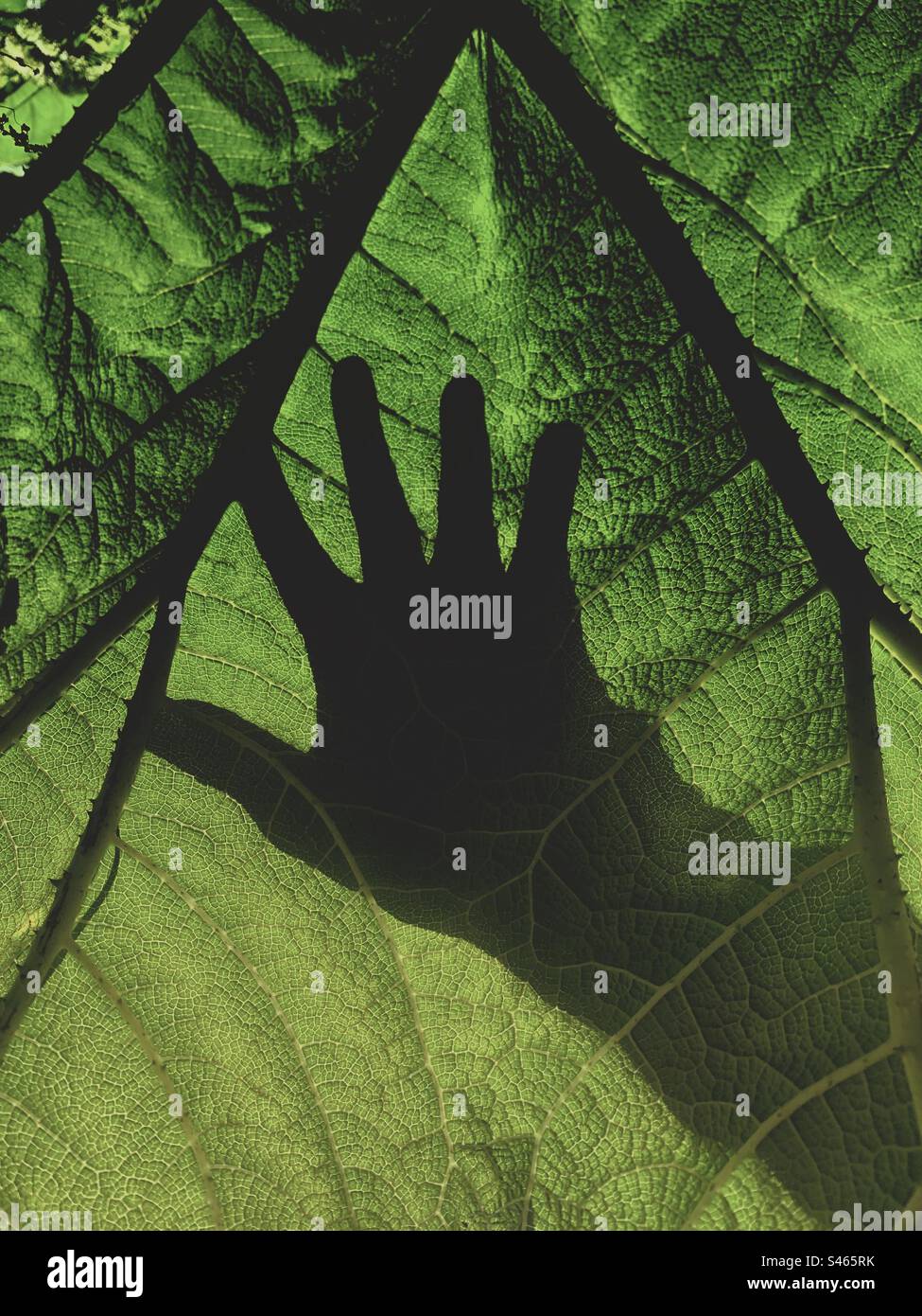 Human senses hi-res stock photography and images - Alamy