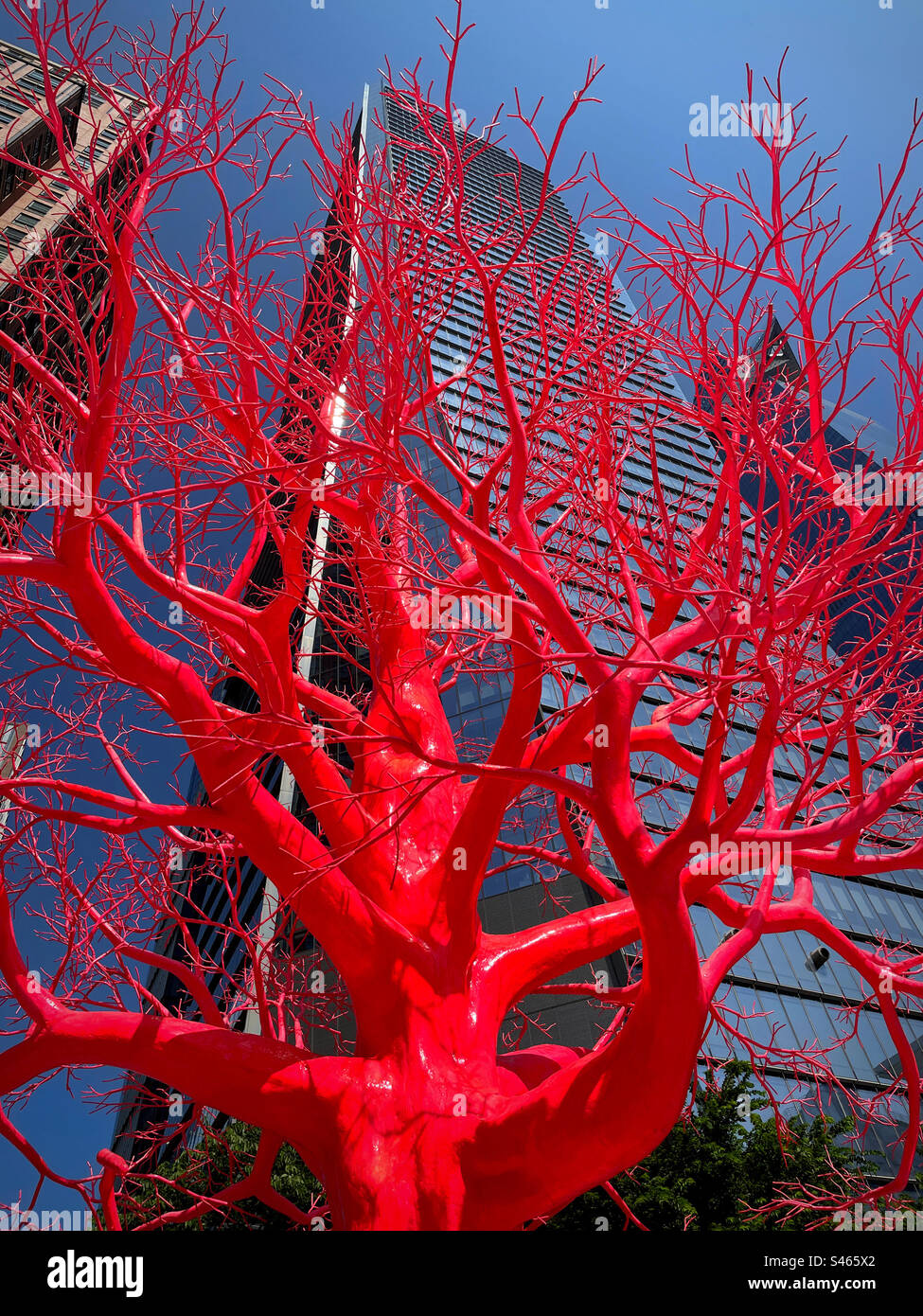 Spur tree smartphone stock photos and images - Alamy