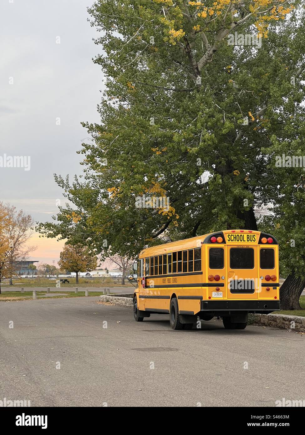 American yellow school bus in hi-res stock photography and images - Alamy