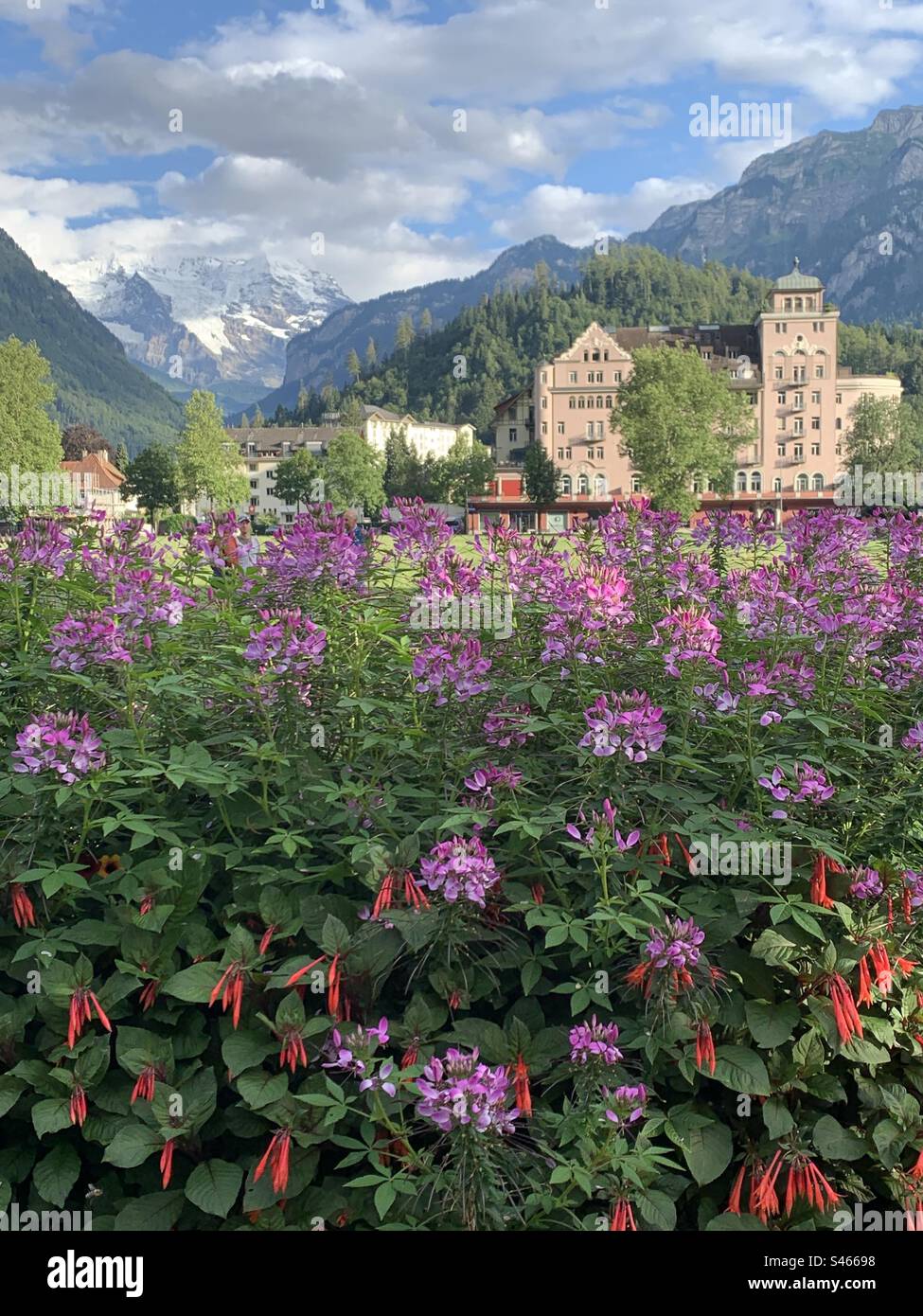 Flower beds interlaken centre Switzerland Stock Photo - Alamy