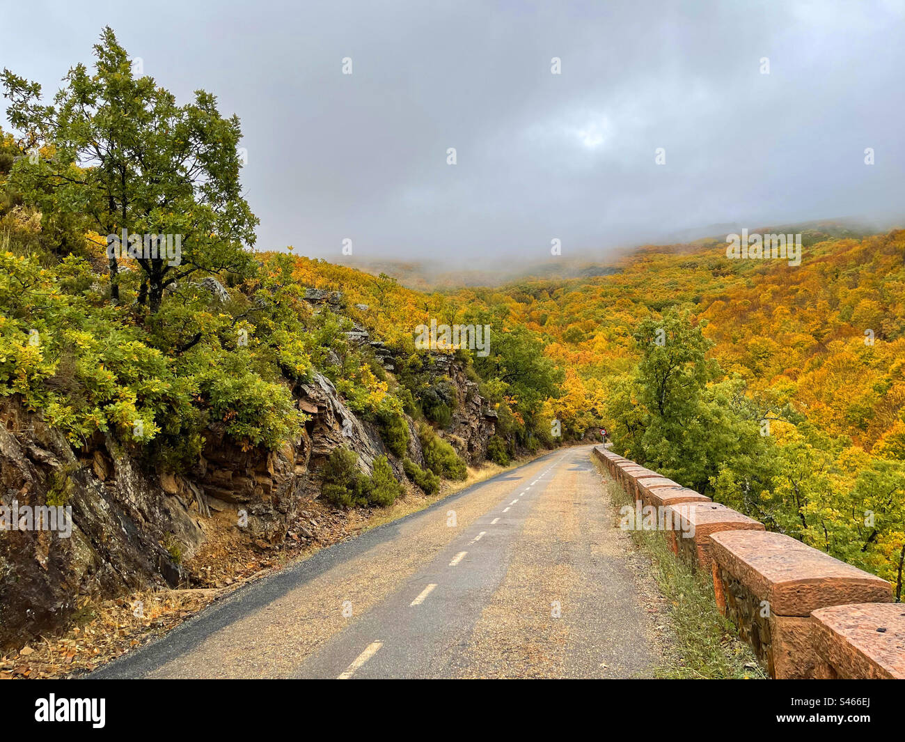Road and Autumn landscape. Riofrio de Riaza, Segovia province, Castilla ...