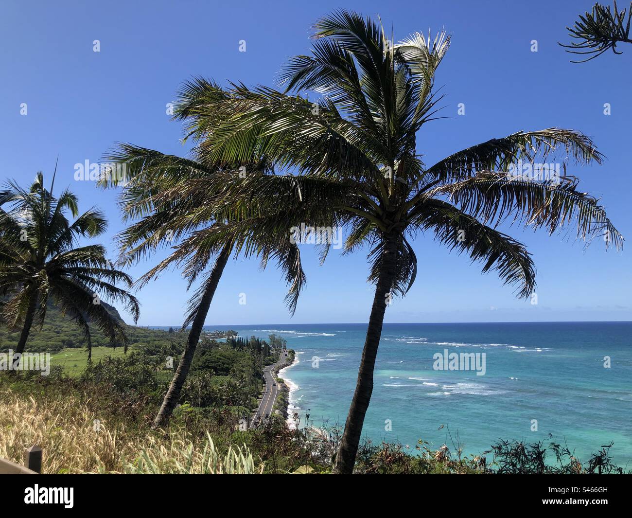 Oahu hi hi-res stock photography and images - Alamy