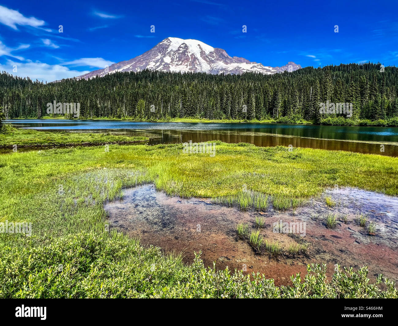 Reflection Lake at Mt Rainier Stock Photo - Alamy