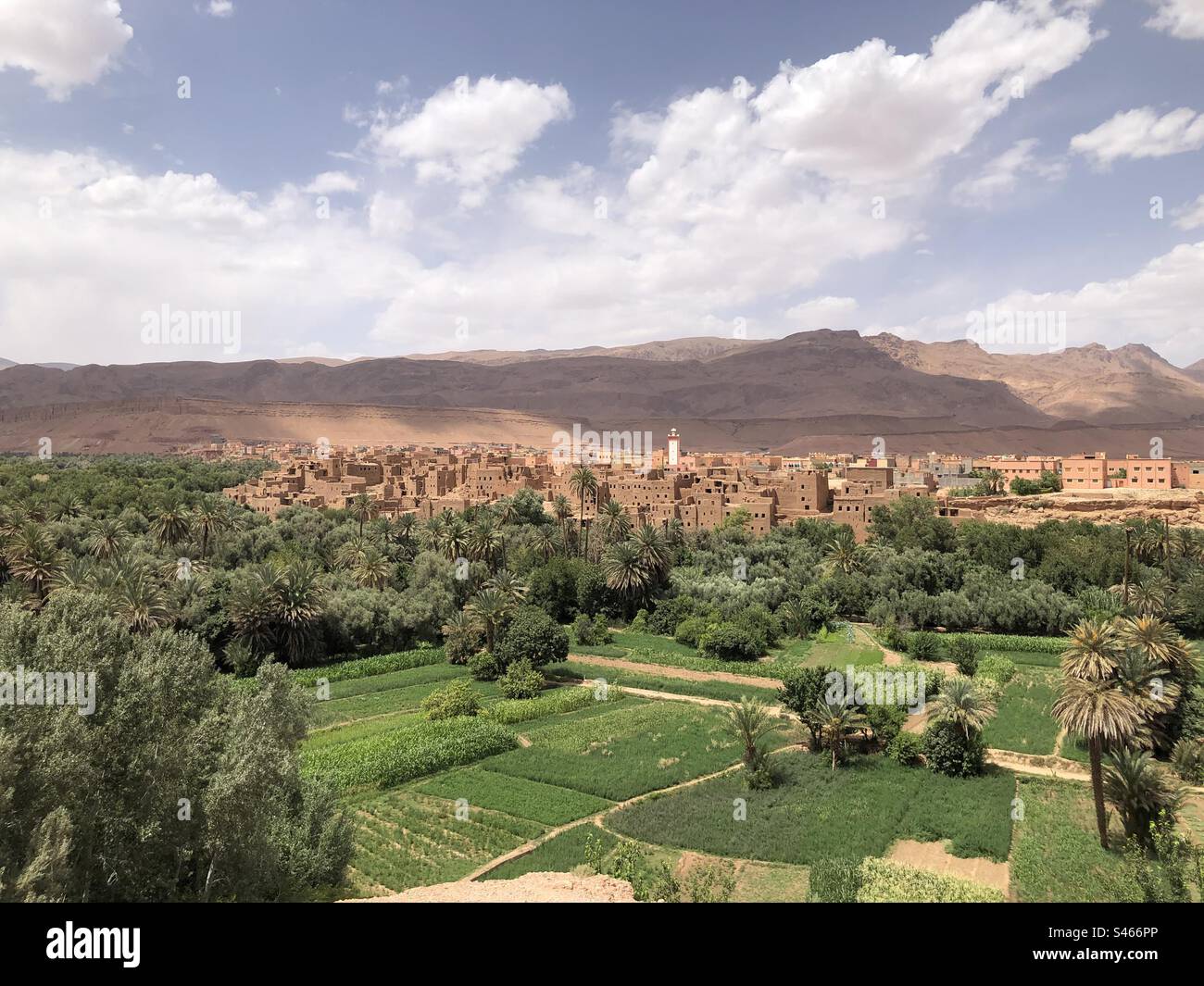 Oasis in morocco hi-res stock photography and images - Alamy