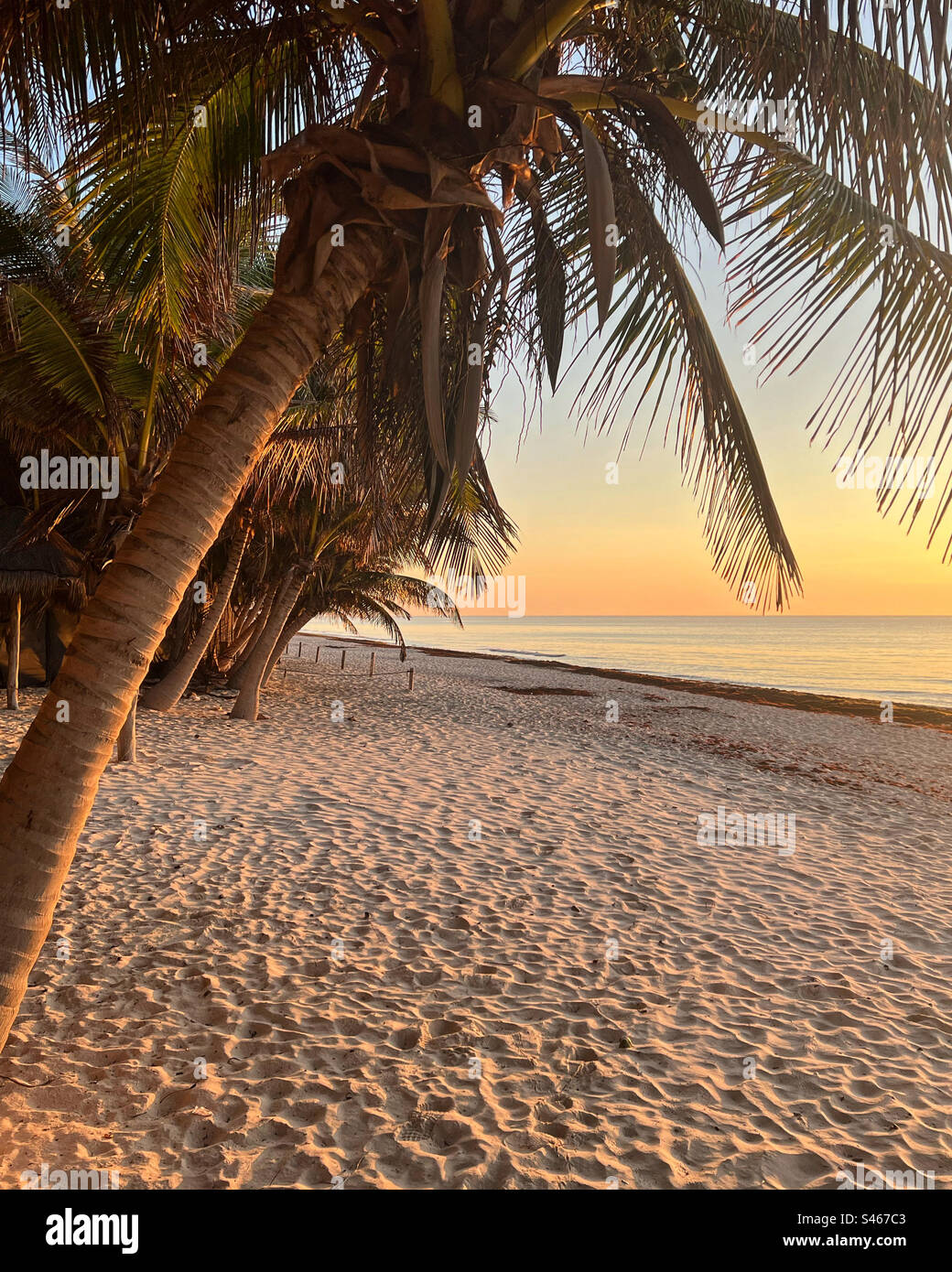 Tulum mexico sunset hi-res stock photography and images - Alamy