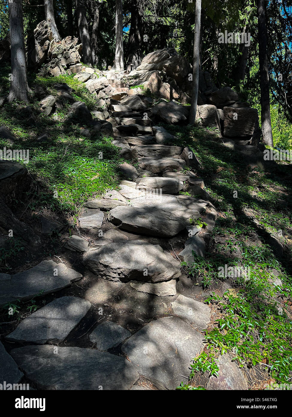 Mysterious path hi-res stock photography and images - Alamy