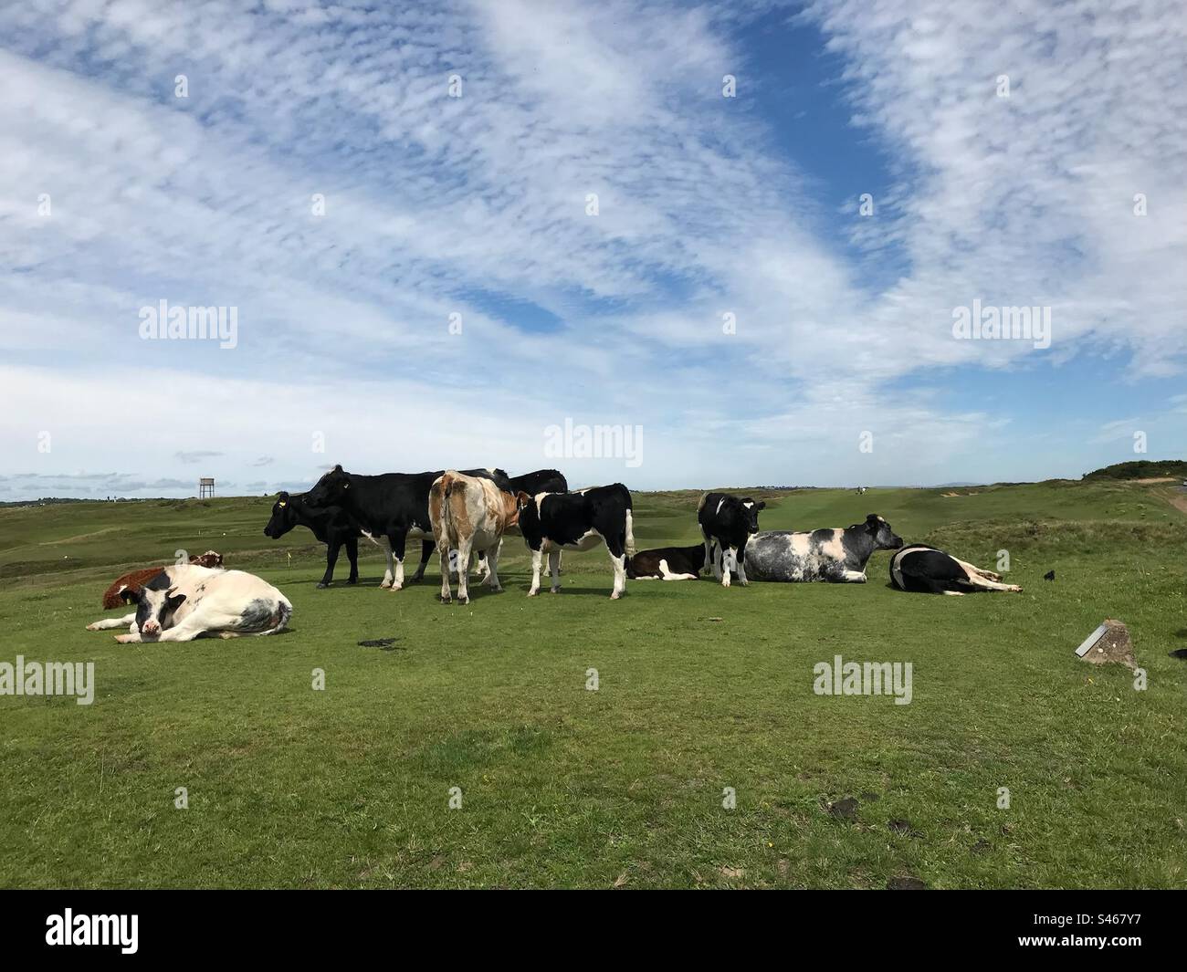 Pennard golf course hi-res stock photography and images - Alamy