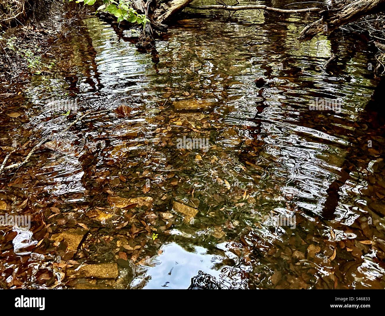 Reflections on stream Stock Photo - Alamy
