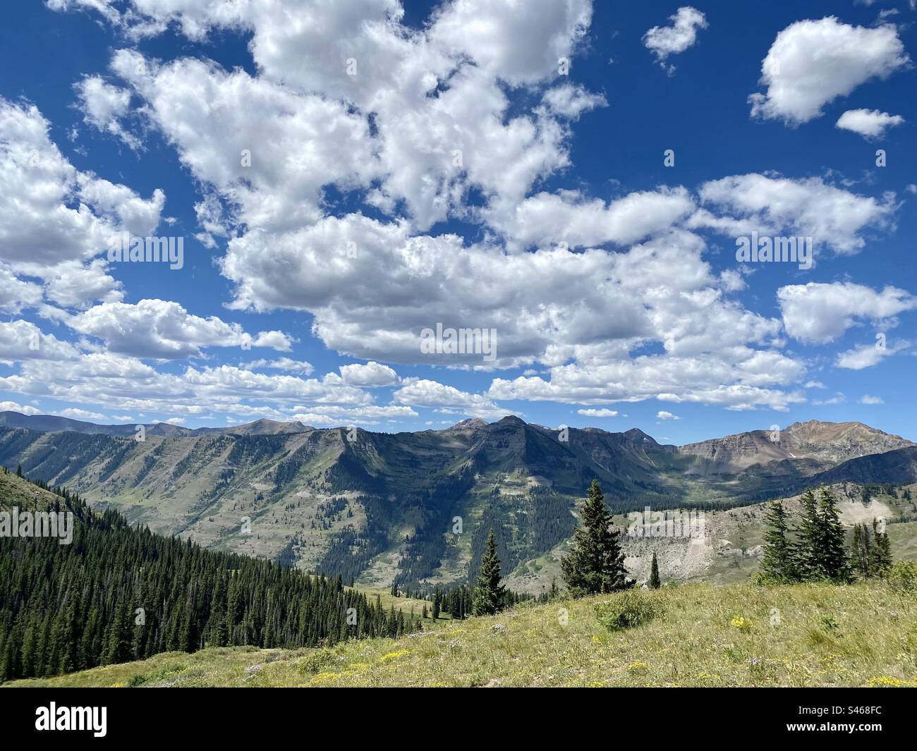 Crested Butte, CO mountain hiking trail Stock Photo - Alamy